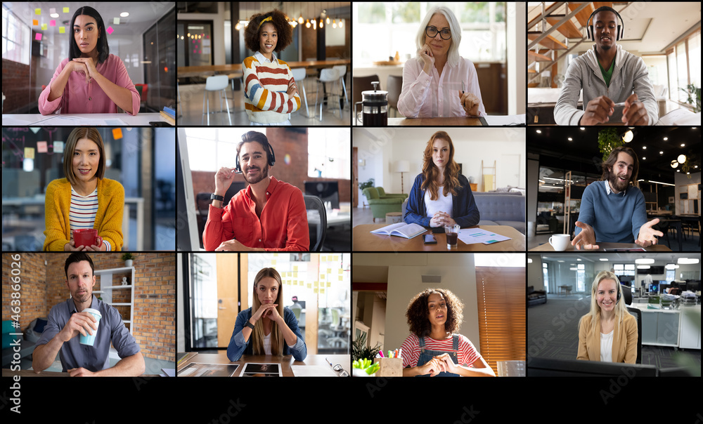 Video call interface with twelve diverse male and female work ...
