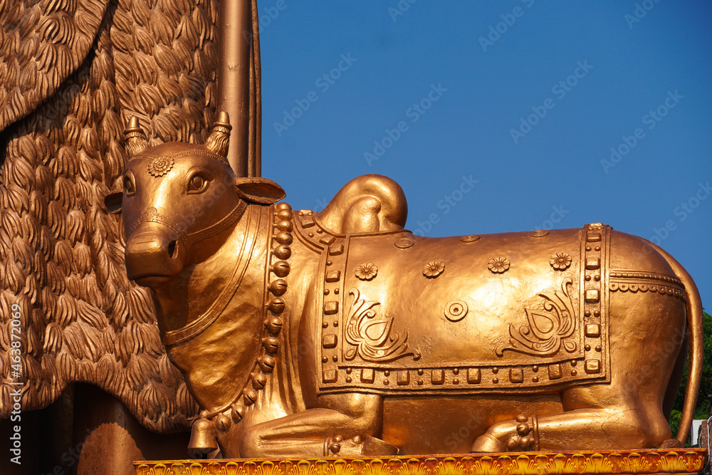 Foto de nandi bail images hd nandi pet animal of mahadev shiva close up ...
