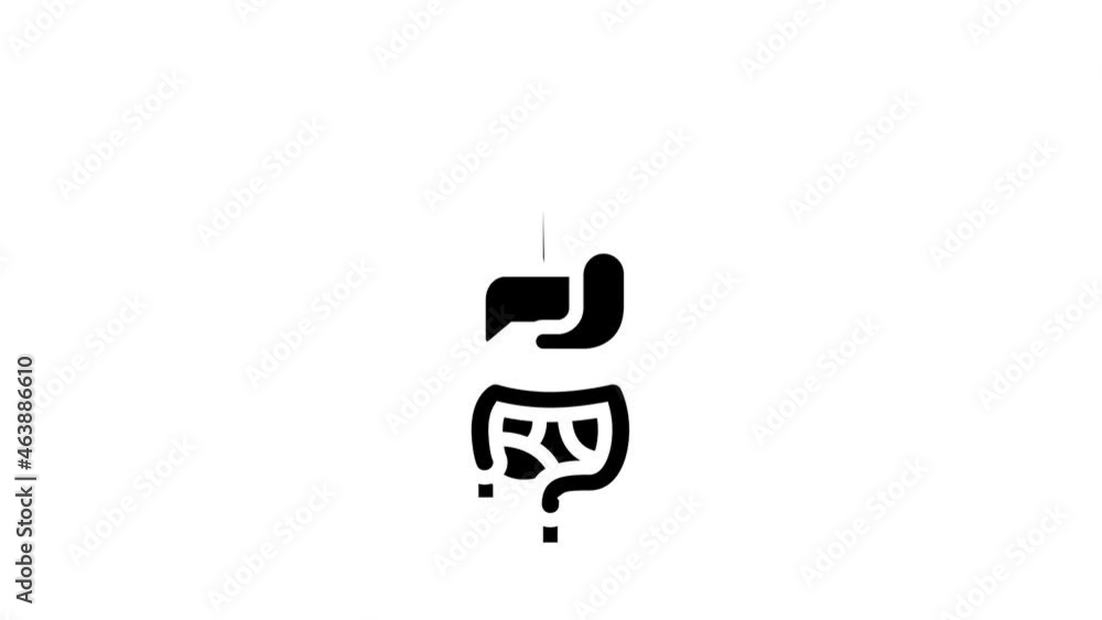 digestive system animated glyph icon. digestive system sign. isolated ...