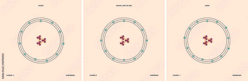 Conceptual vector representation of a magnesium atom and its ions: a ...