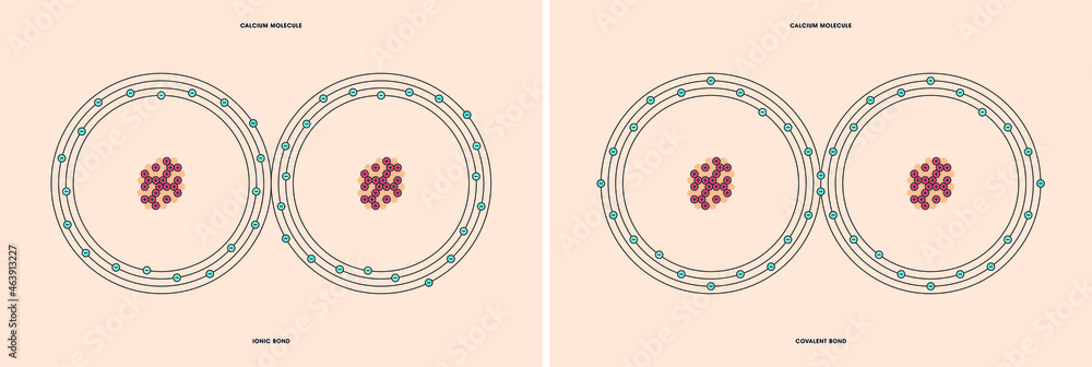 Conceptual vector representation of a calcium molecule, made up of two ...