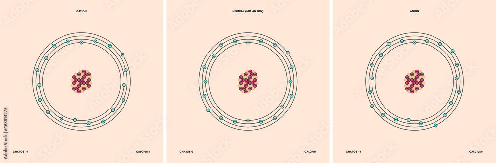 Conceptual vector representation of a calcium atom and its ions: a ...