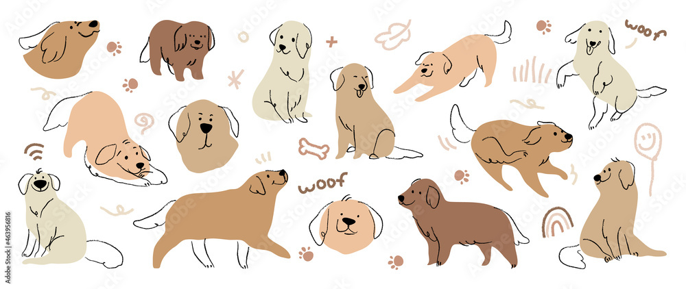 Cute Golden Retriever and Labrador Retriever dog hand drawn vector set ...
