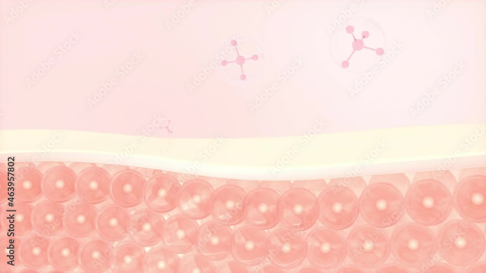 Skin cells and molecular structure, 3d rendering. Stock 비디오 | Adobe Stock