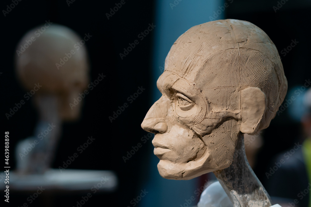 The process of creating ecorche. The sculptor is working. Sculpture of ...