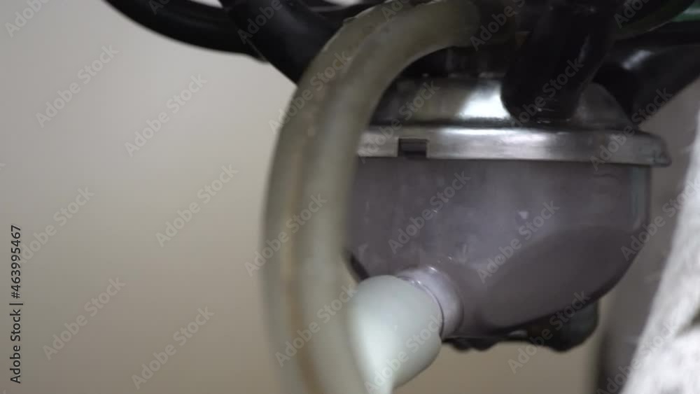 Automated process of a modern milking machine. The cows udder. milking ...