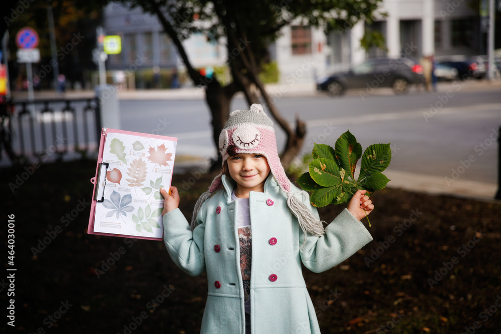 Exploring the leaves of trees, getting to know nature. The child ...