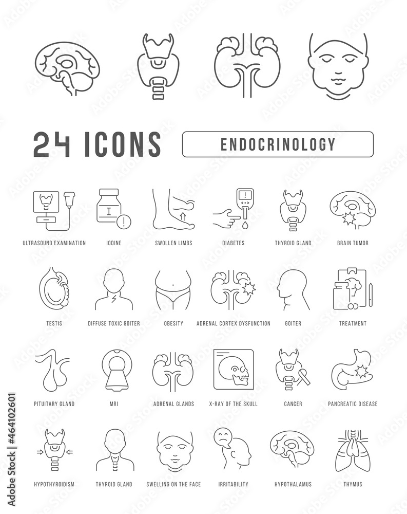 Endocrinology. Collection of perfectly thin icons for web design, app ...