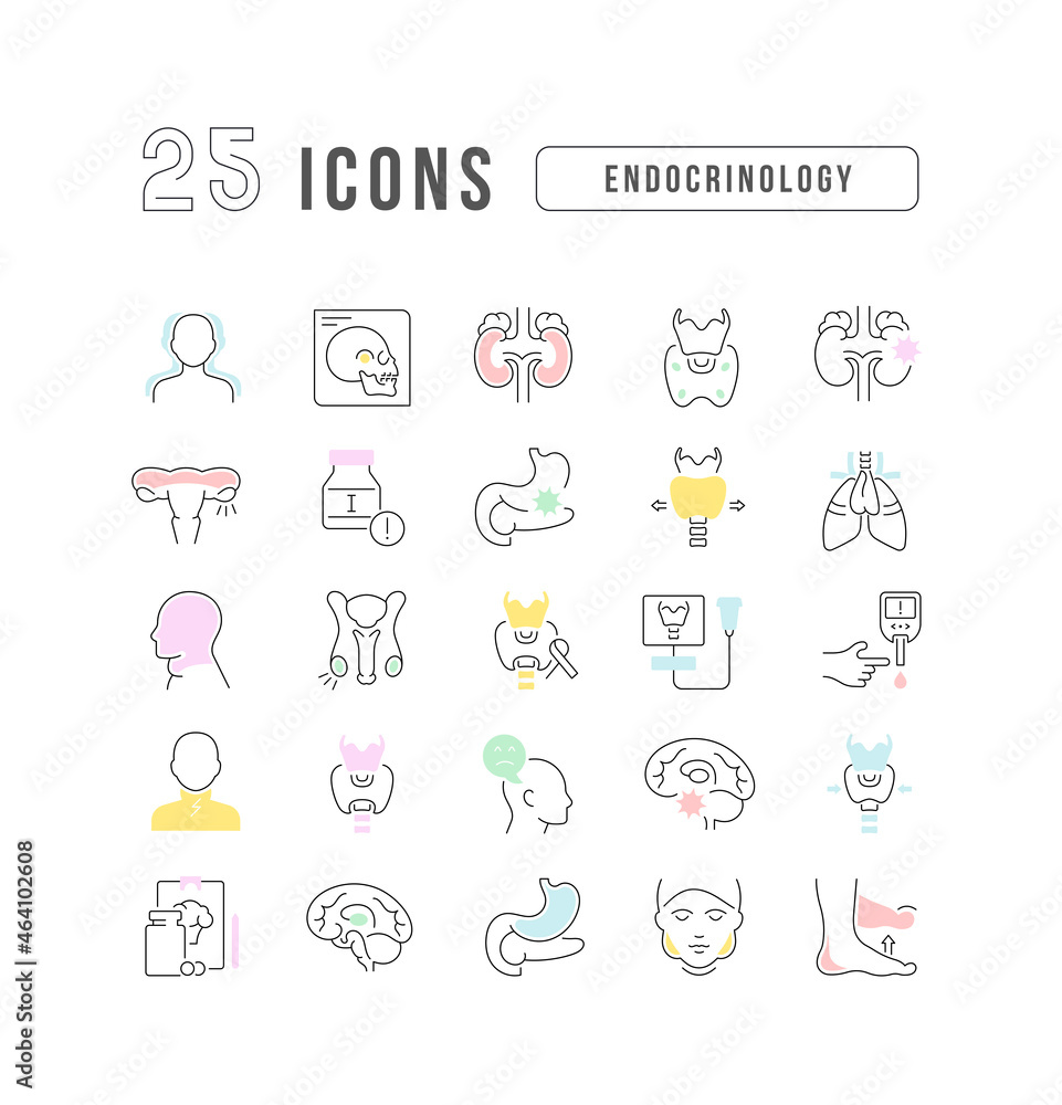 Endocrinology. Collection of perfectly thin icons for web design, app ...