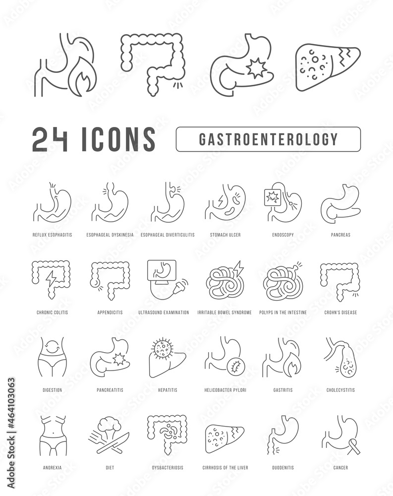 Gastroenterology. Collection of perfectly thin icons for web design ...