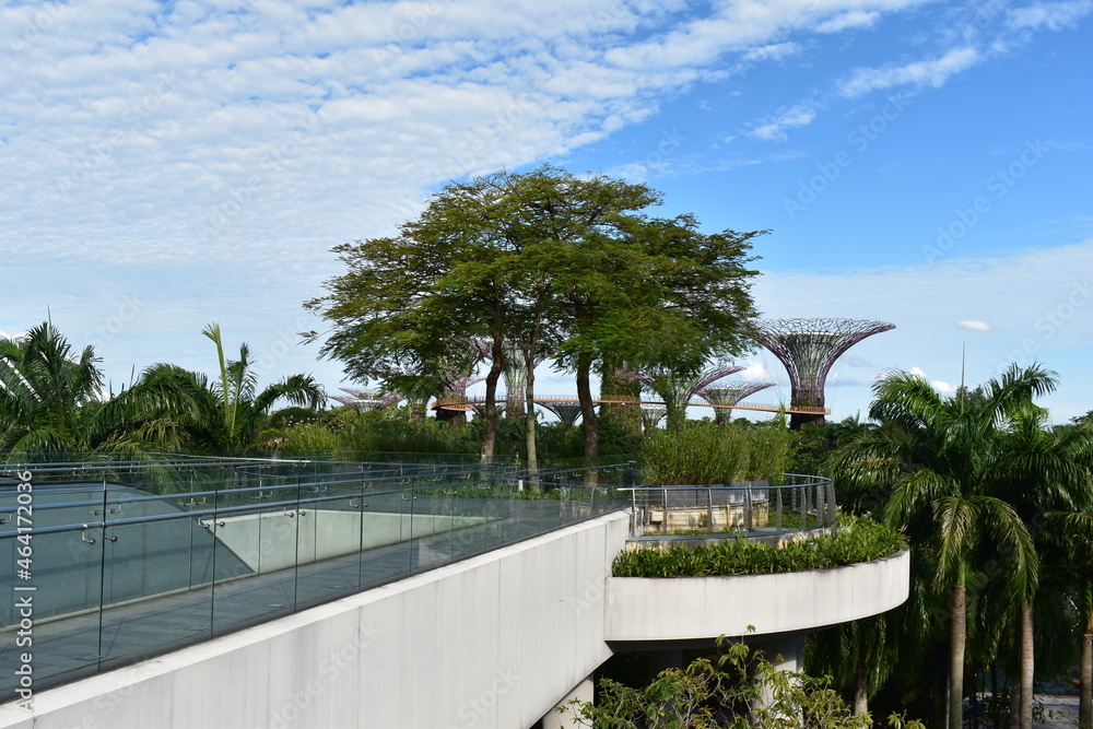 Viewing Platform, High Tower Storey, Garden by the Bay , Day Time ...