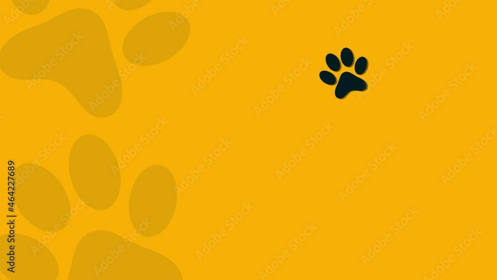 paw print loop animation on a yellow background,pet walk,dog and cat ...