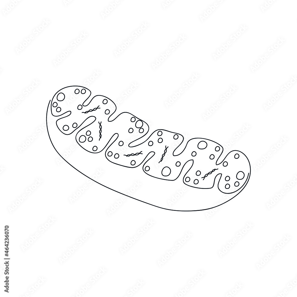 Mitochondria icon drawn by one line. Cell component sketch. Continuous ...