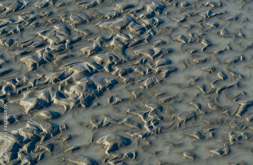 Original texture of wet gray sand of mountain river Mzymta in Adler. A ...