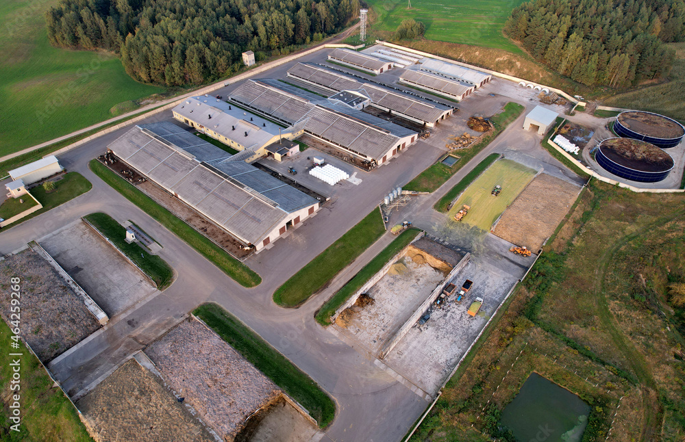 Farm building with cows and pigs in the village, aerial view. Cowshed ...