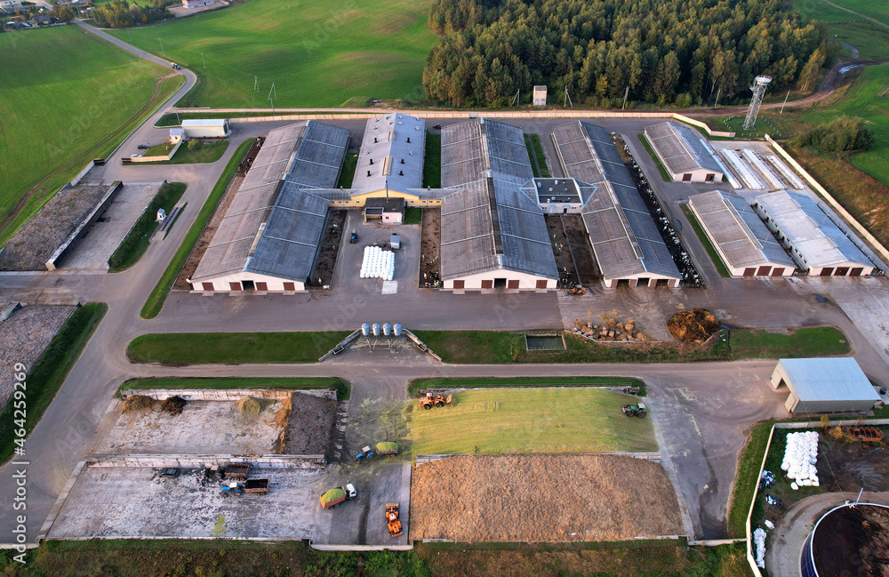 Farm building with cows and pigs in the village, aerial view. Cowshed ...