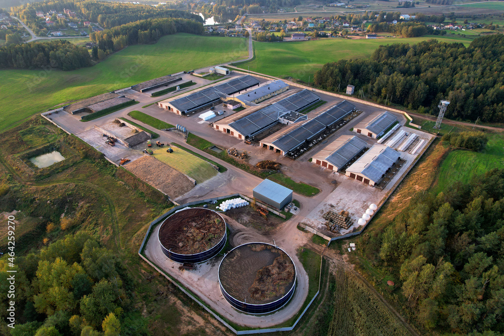 Farm building with cows and pigs in the village, aerial view. Cowshed ...