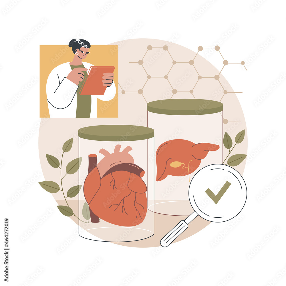 Lab-grown organs abstract concept vector illustration. Laboratory-grown ...