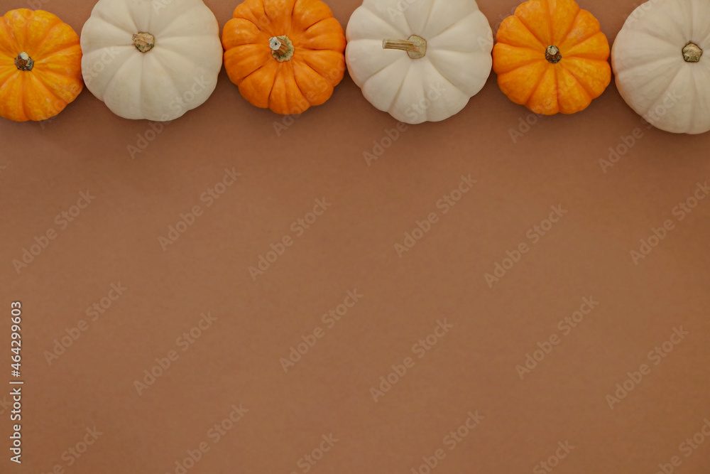 Bunch of decorative mini pumpkins of different kind and color on dark ...