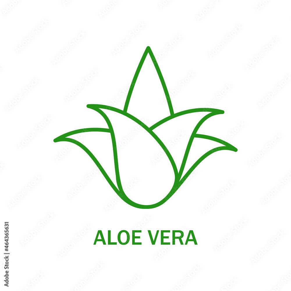 Aloe vera icon isolated on white background. Aloe vera flat icon for ...