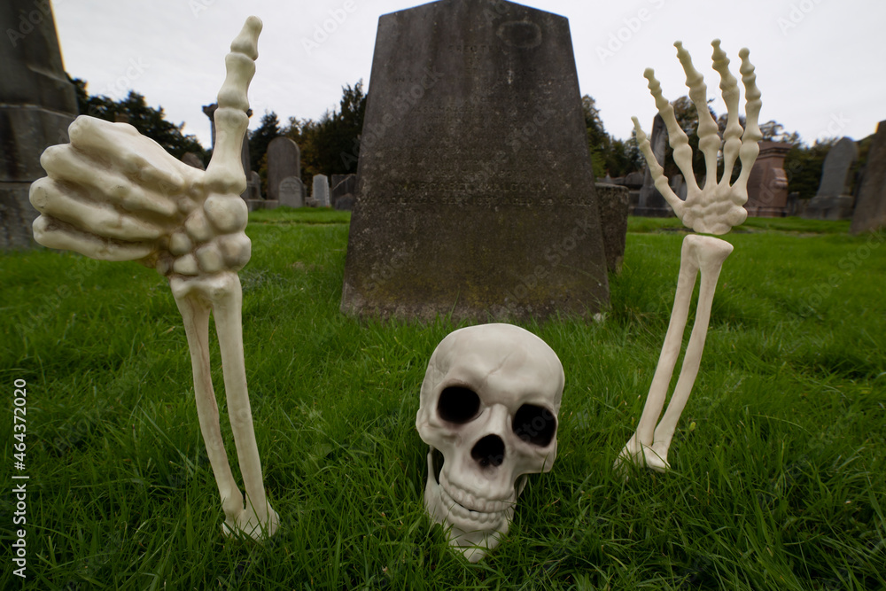 Foto de “day of the dead” still remains strong today.That’s why symbols ...