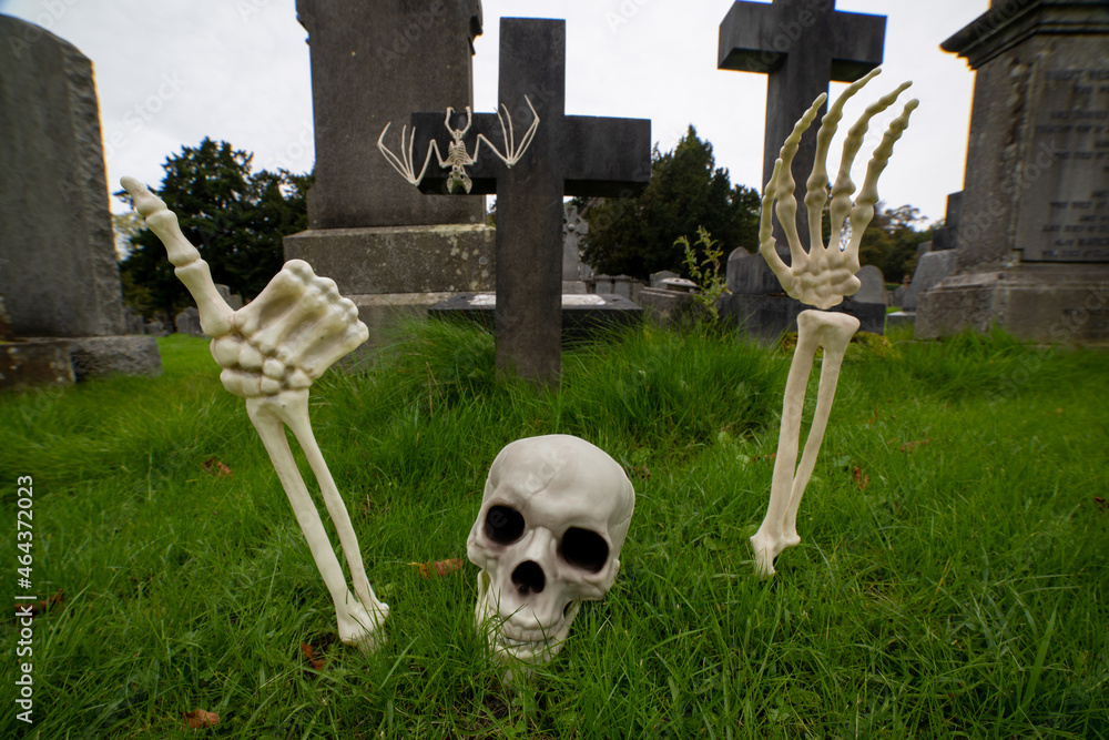 “day of the dead” still remains strong today.That’s why symbols of ...