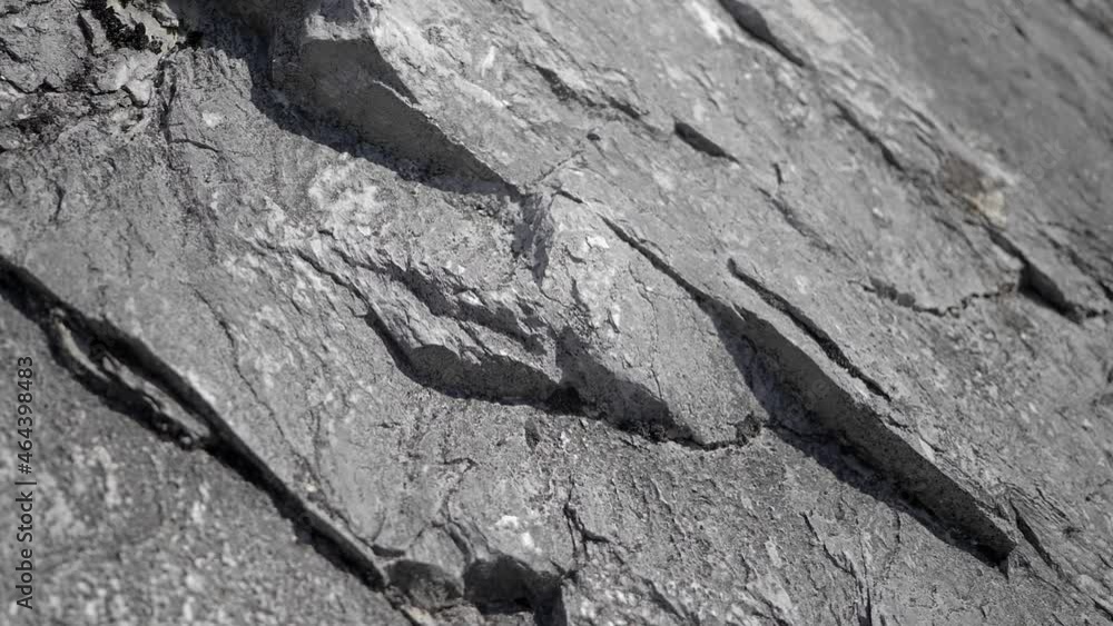 Rock structure, texture in the swiss alps. Stock Video | Adobe Stock