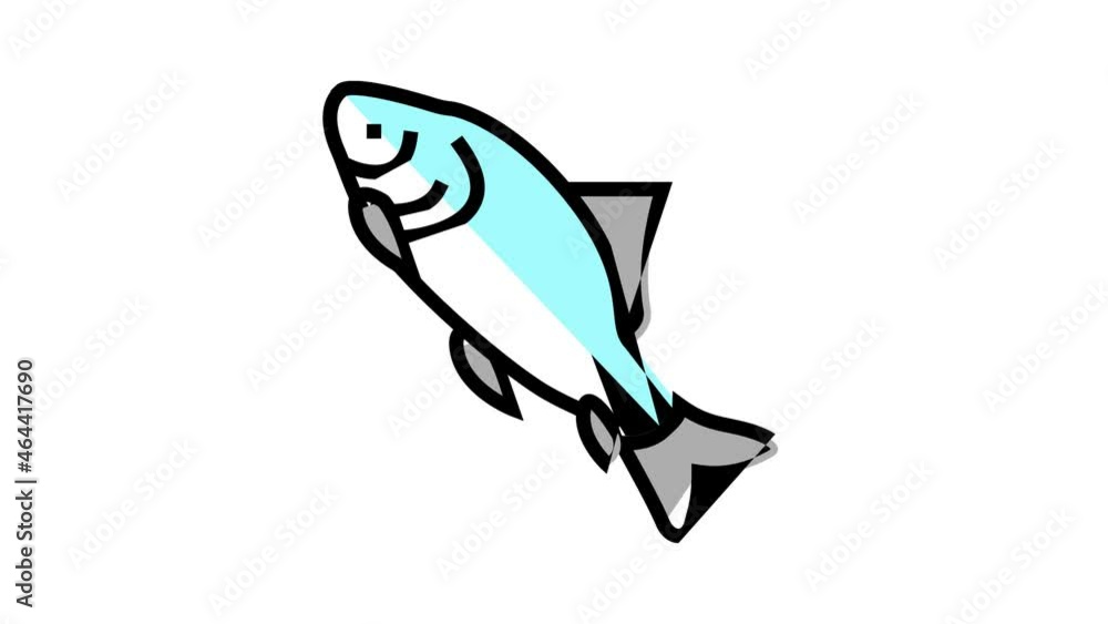 catla catla fish animated color icon. catla catla fish sign. isolated ...