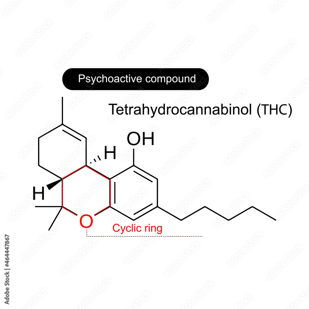 Structure of tetrahydrocannabinol (THC) isolated on white background ...