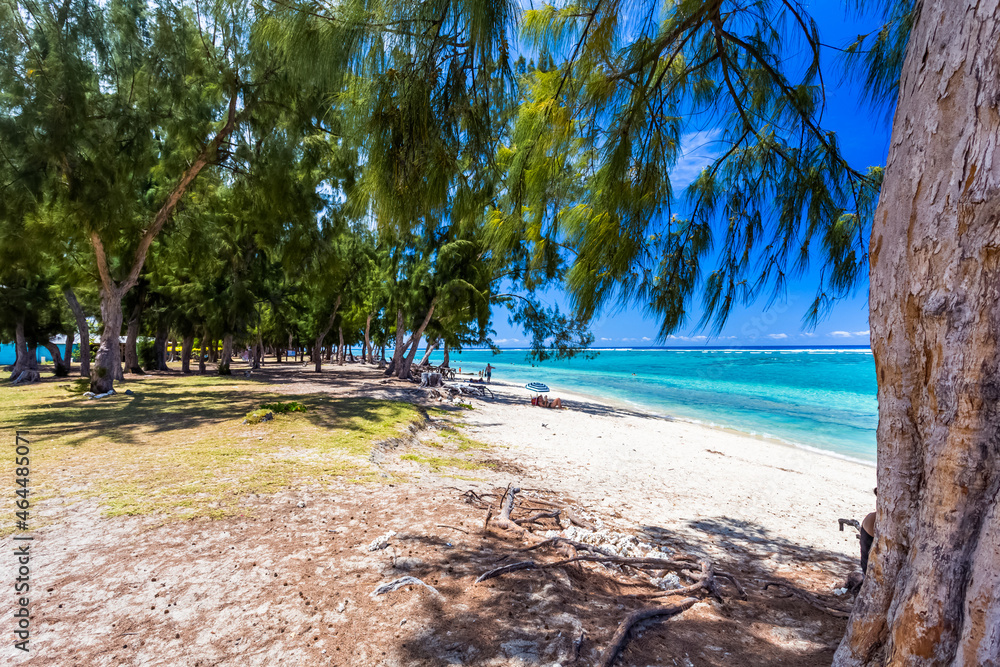 Filaos sur plage paradisiaque de l’Hermitage, île de La Réunion Stock ...