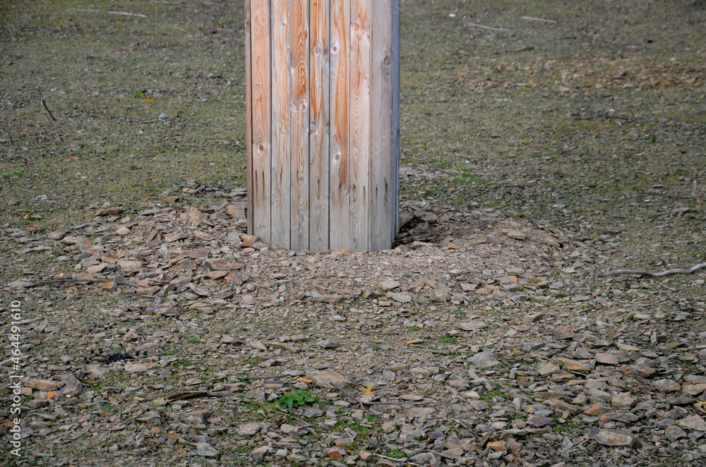 The Gottingen mini pigs was raised and bred for medical research ...