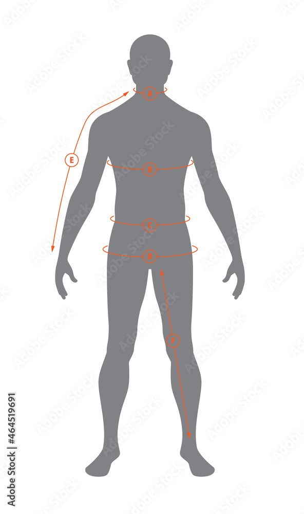 Vector silhouette male body anatomy for measuring clothing sizes ...