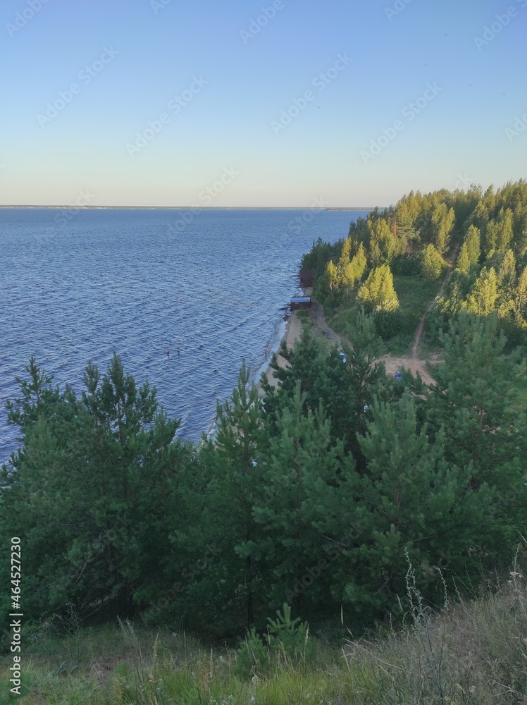 Nature near the Volga river. The coast with trees and other vegetation ...
