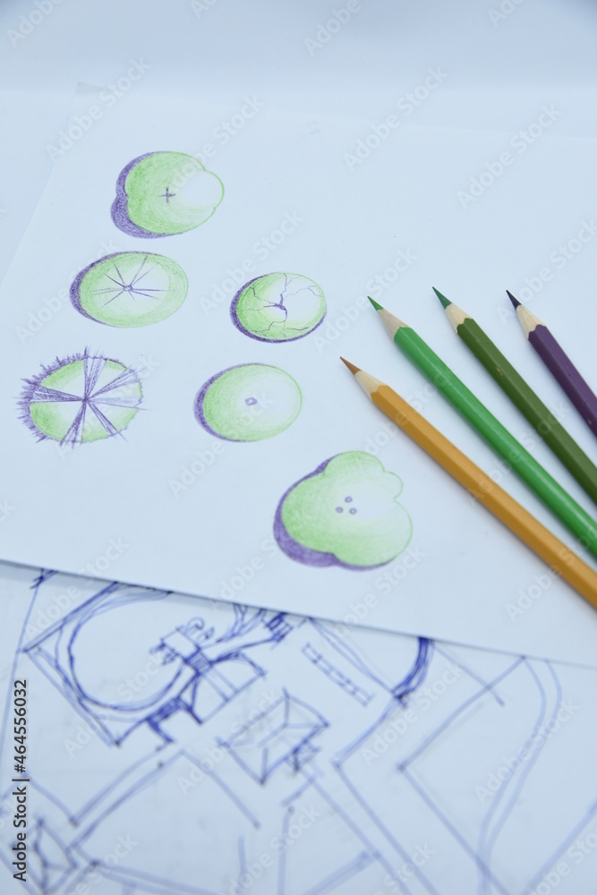 Landscape design hand drawn with pencil. Tree plan sketch top view for ...
