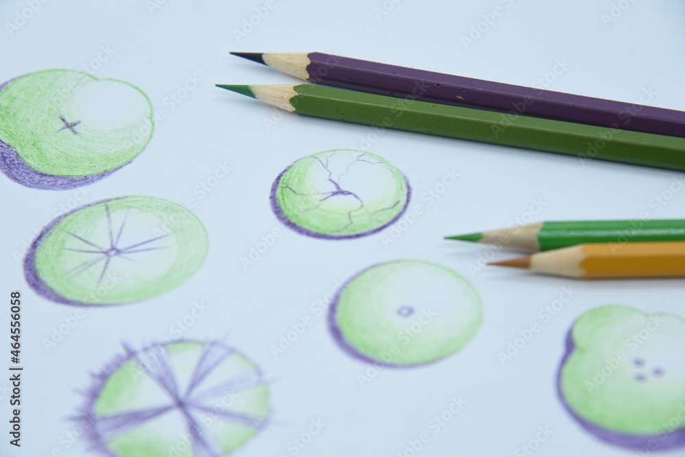 Landscape design hand drawn with pencil. Tree plan sketch top view for ...