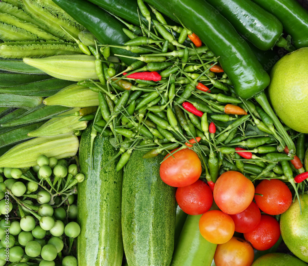 The vegetables set is comprised of variety of organic vegetables and ...