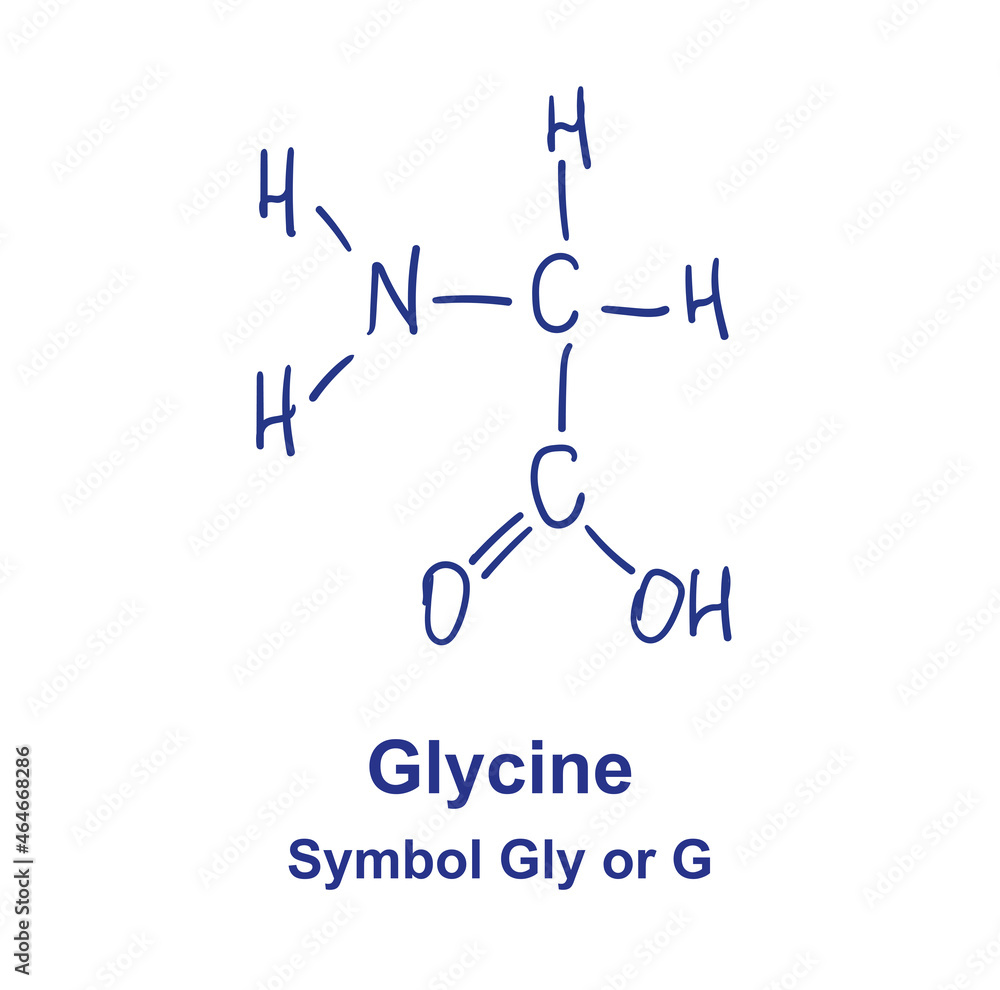 Glycine chemical structure. Vector illustration Hand drawn. Stock ...