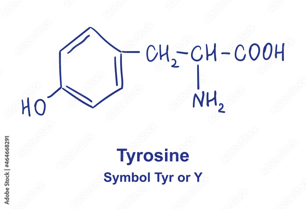 Tyrosine chemical structure. Vector illustration Hand drawn Stock ...