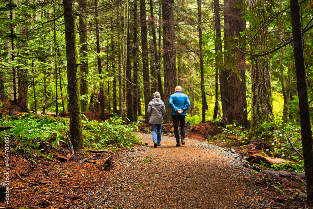 Mount Benson Trail Hiking Trail - Nanaimo, BC Stock Photo | Adobe Stock