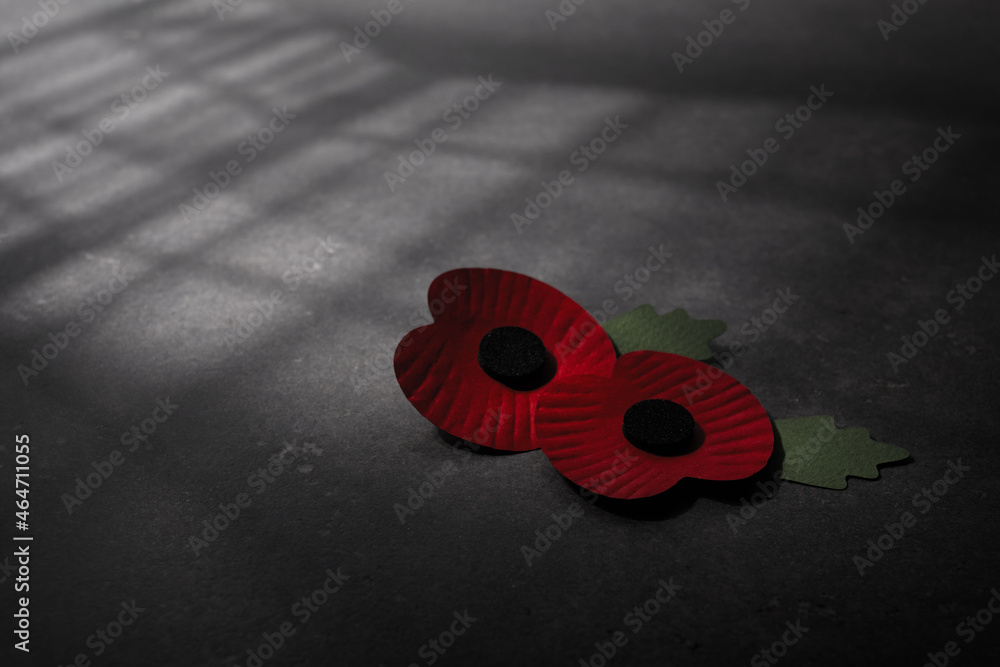 World War remembrance day. Red poppy is symbol of remembrance to those ...
