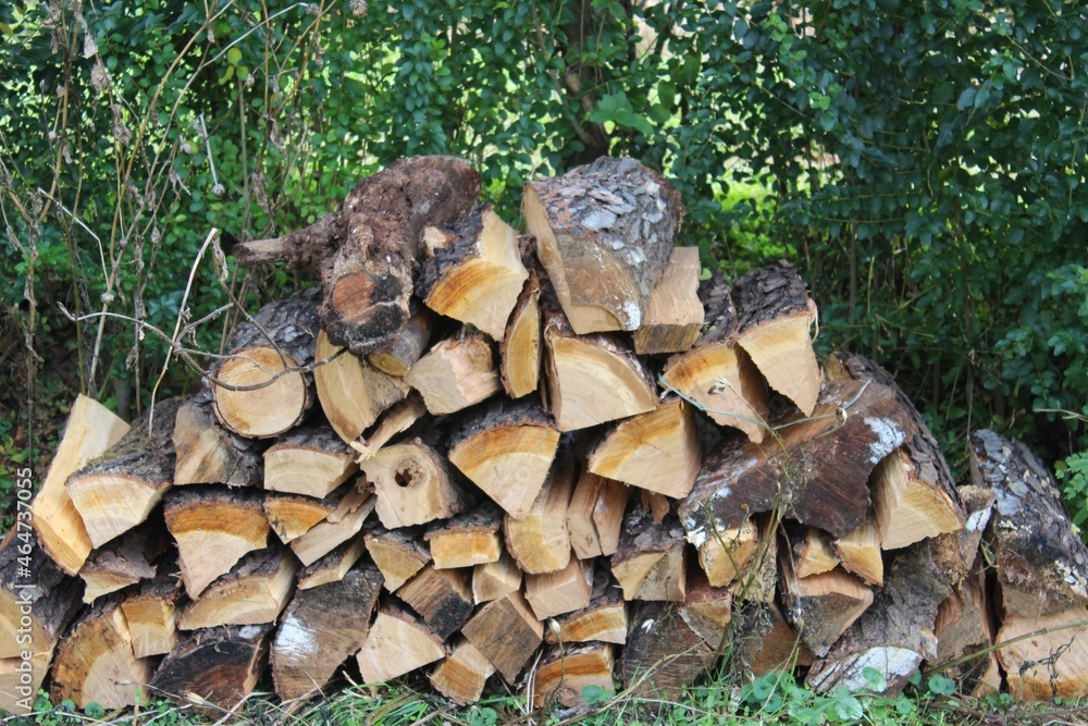 stack of firewood Stock Photo | Adobe Stock