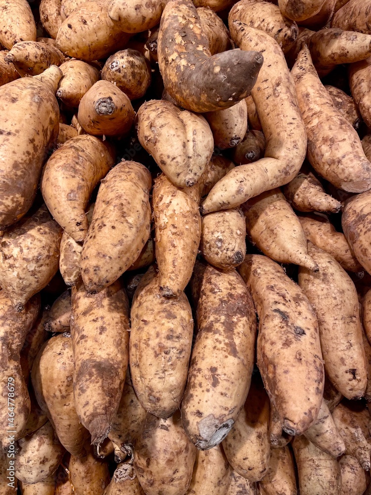 Cilembu sweet potato is a sweet potato cultivar which is a local breed ...