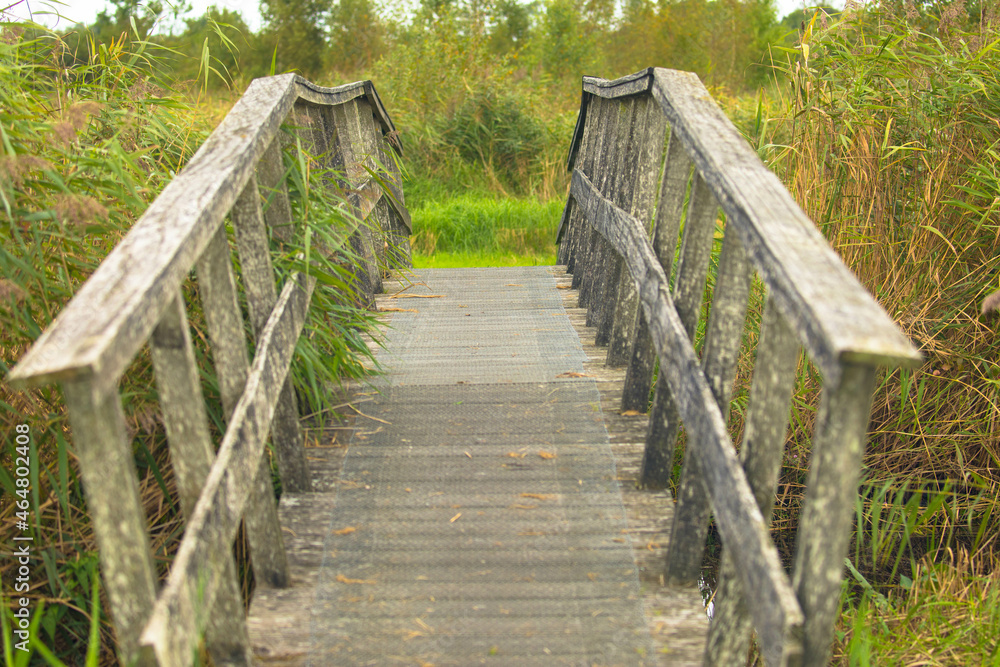 Footbridge in the Lauwersmeer National Park, one of the most beautiful ...