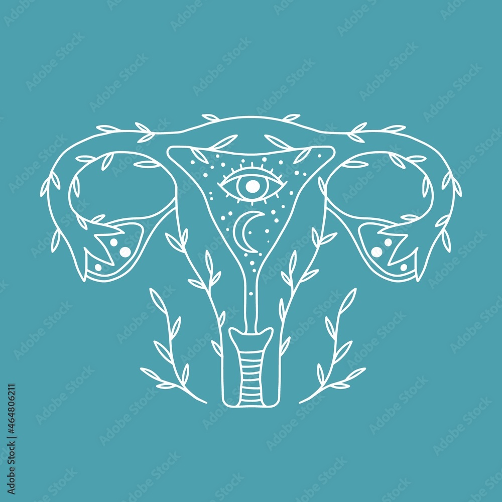 Vector drawing of a female uterus Stock Vector | Adobe Stock