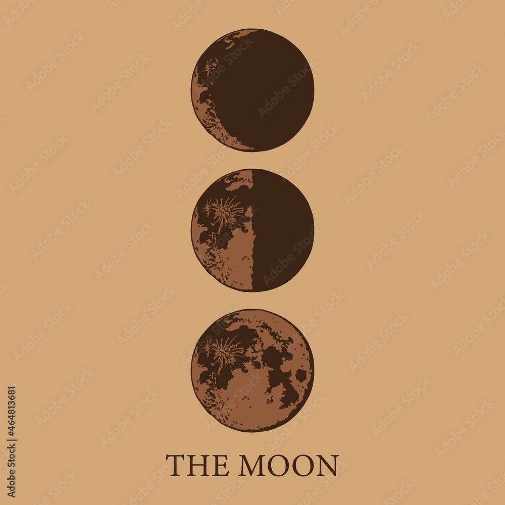 The Moon, Moon Phases in modern colors, contemporary aesthetic poster ...