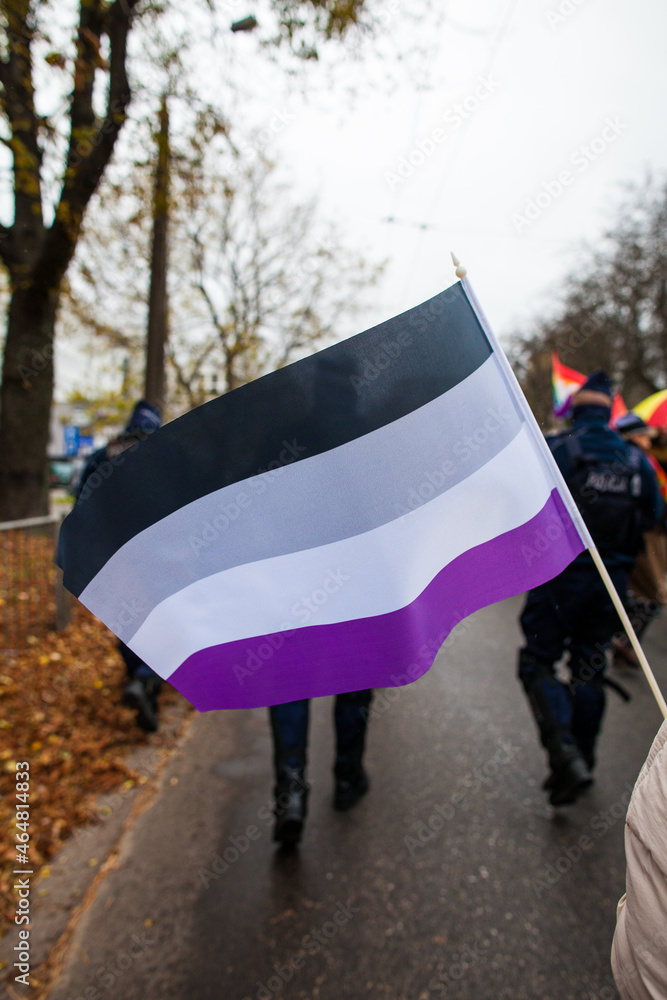 Asexual flag LGBT+ parade Stock Photo | Adobe Stock