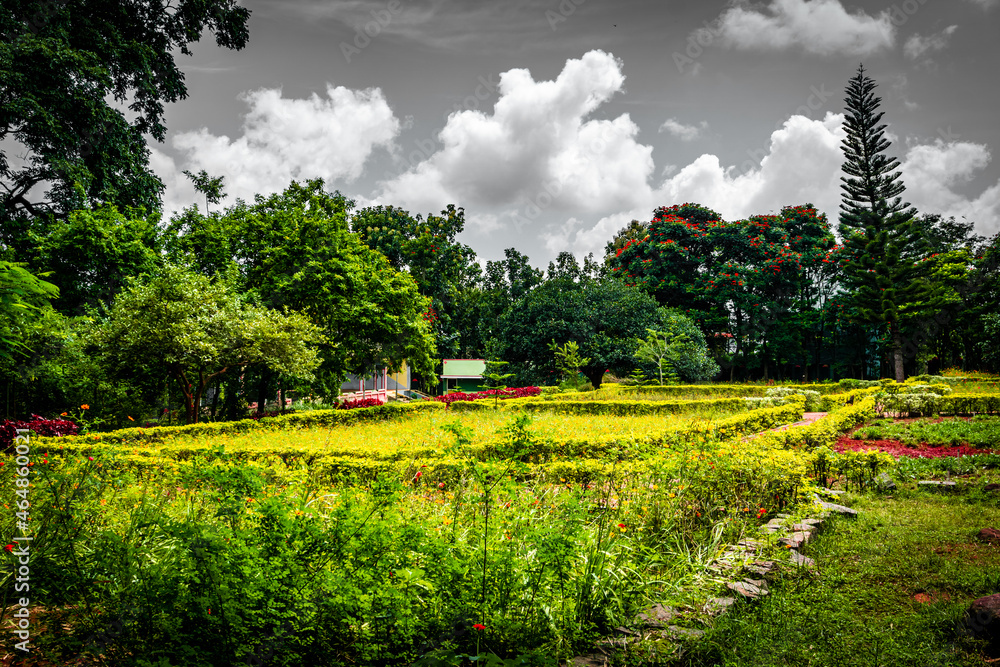 Foto de Yelagiri - Nature Park is a sweet spot area in yelagiri hill ...