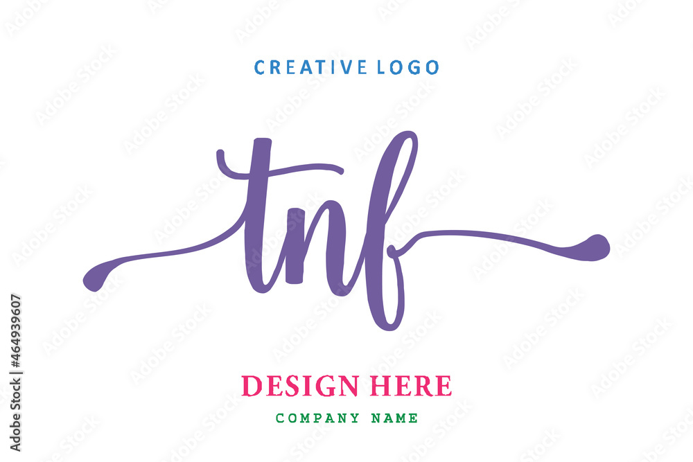 TNF lettering logo is simple, easy to understand and authoritative ...