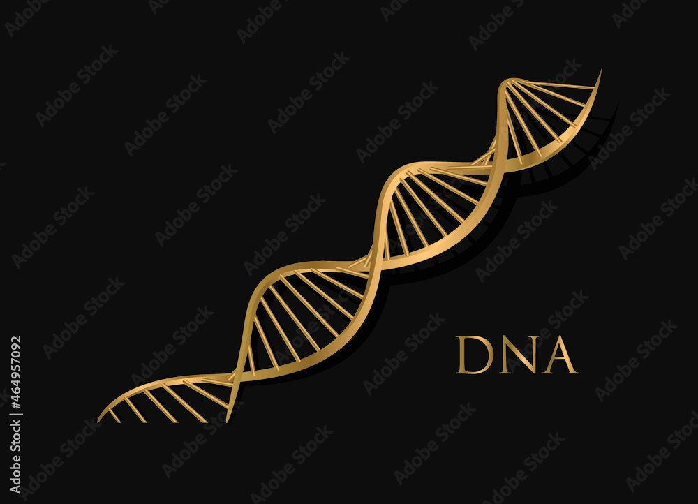 Golden DNA strand with black and gold particles. Vector 3d scientific ...