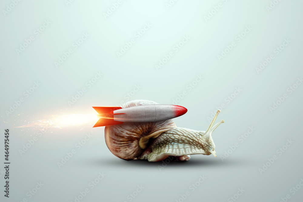 The uniqueness of the creative background, the snail moves on the rocket. Competitive advantage ...